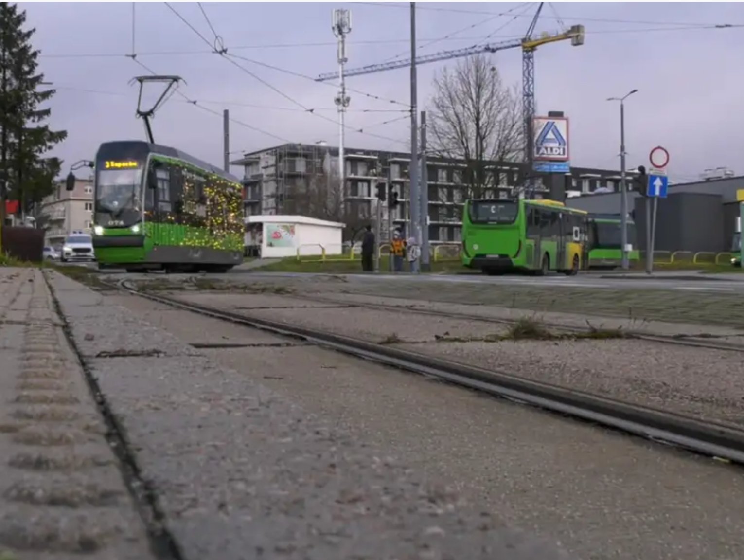 Dni Elbląga 2025: Bezpłatna komunikacja miejska i zmiany w organizacji ruchu